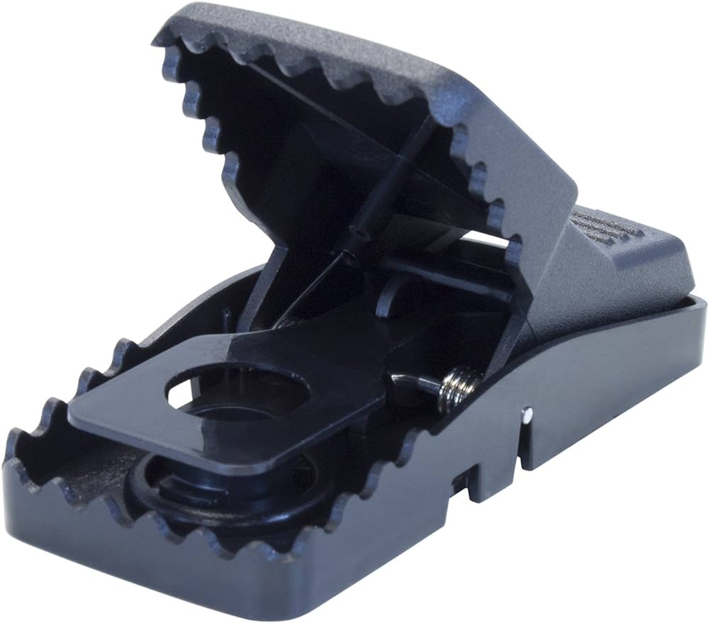 HS Code for rat and mouse traps of iron