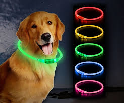Código SA para collar de perro
