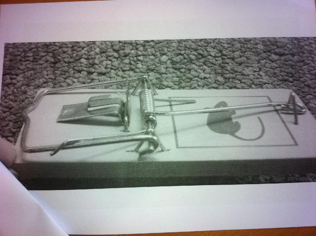 HTS Code for mouse traps